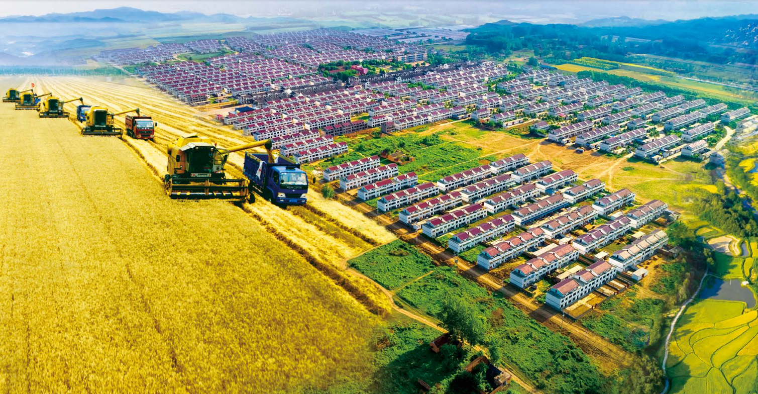 About Henan-Dahe.cn - The first brand of local news website in Henan.